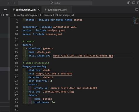 Cant Able To Create Entity For Doods Camera Frontend Home