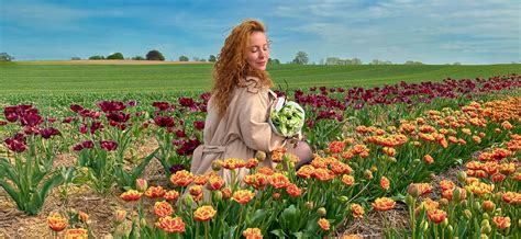 Плюсы жизни в Германии