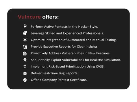 web pentesting vulncure