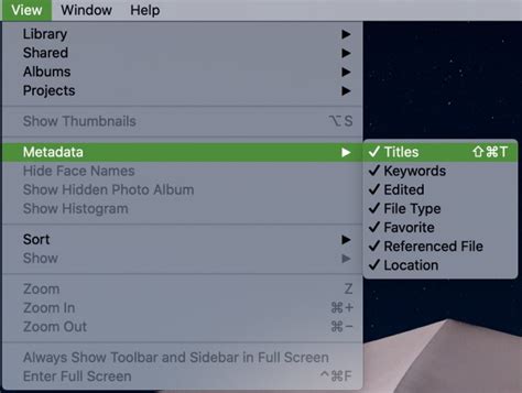 How To Add Captions To Photos Videos In Photos On IOS And Mac