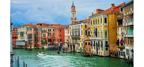 Dolphins And Swans Show Up On Clean Venice Canals As Italy Goes Under A