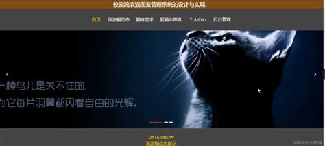 Java计算机毕业设计校园流浪猫图鉴管理系统的设计与实现计算机（附源码、数据库）数据库大作业流浪猫管理系统 Csdn博客