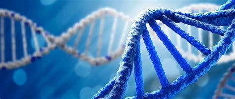 HSC Biology A Detailed Guide To Test And Exam Preparation