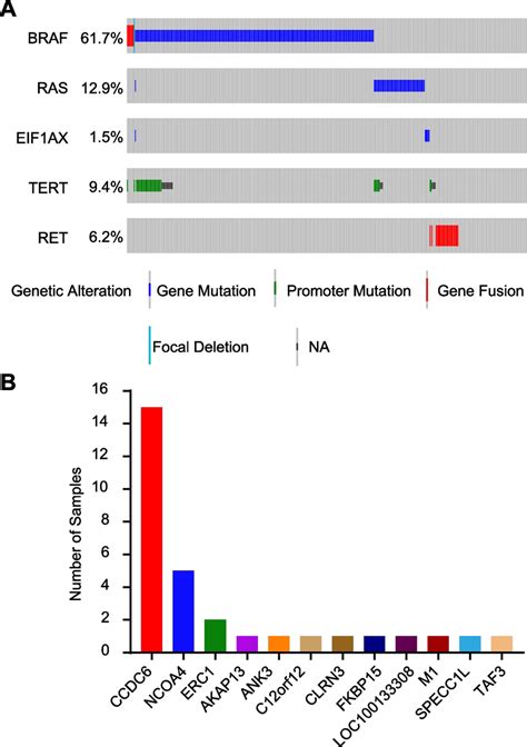 Genetic Alterations Of Selected Genes In Ptc A Distribution Of Common