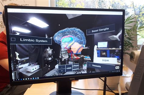 HoloBrain In WebVR Emerging Media Lab