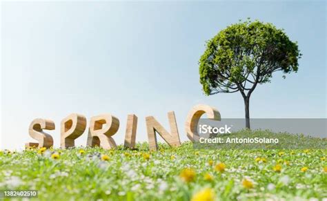 Tanda Kayu Dengan Kata Spring Di Padang Rumput Foto Stok Unduh Gambar