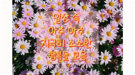 ♡일상 속 지극히 소소하고 평범한 행복 모음♡ Youtube