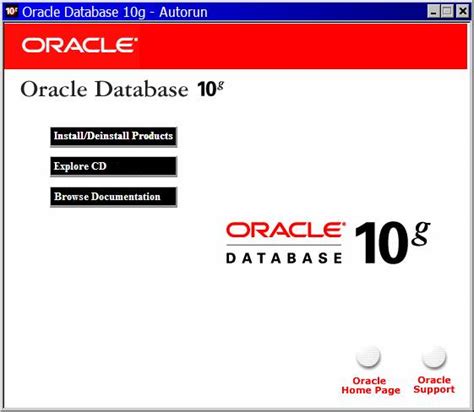 instalare oracle database 10g versiunea 10 2 0 1 0