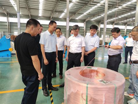 省人大常委会领导在永定调研 时政新闻 永定新闻网