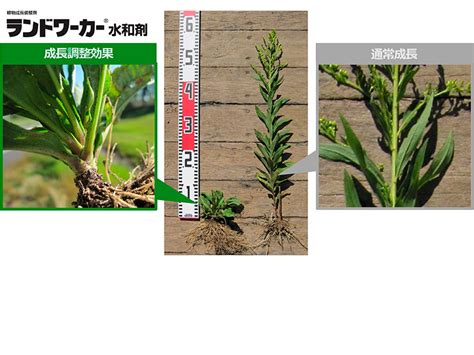 中日本ハイウェイ・エンジニアリング東京 展示会特設サイト