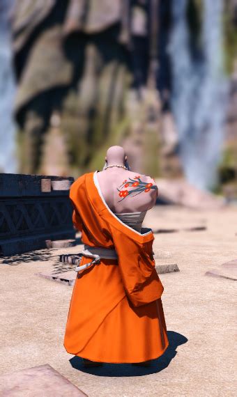 Warrior Monk Eorzea Collection