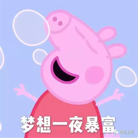 上海方言小赤佬是什么意思 上海话里的人 工作号
