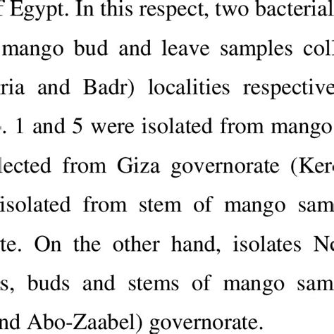 Symptoms Of Bacterial Canker Disease On Mango Trees A Infected