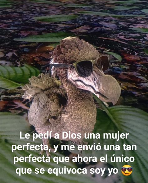 Meme Cómo La Ves 😎 Facebook