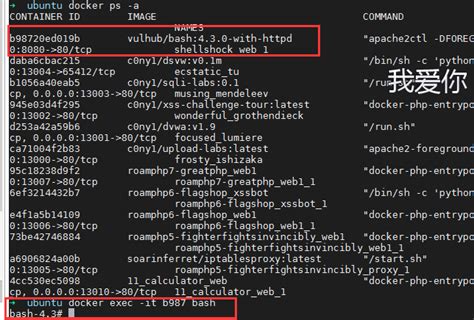 Bash Shellshock Cve