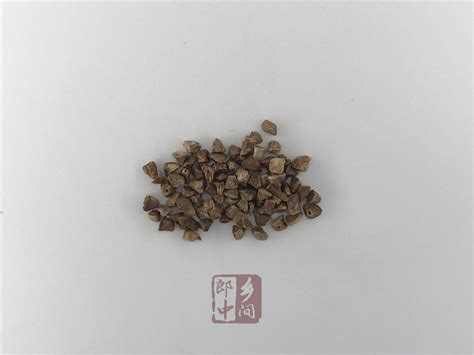 草果的功效与作用 图片 禁忌 乡间郎中