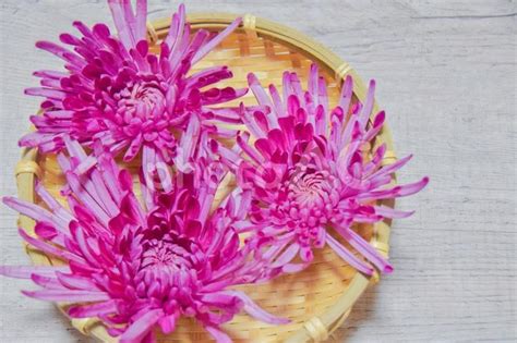ざるに3つ並べた赤紫色の食用菊 No 25351008｜写真素材なら「写真ac」無料（フリー）ダウンロードok