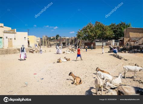 Keren Eritrea November 2019 Goats Men Seller Traditional White Dress Stock Editorial Photo
