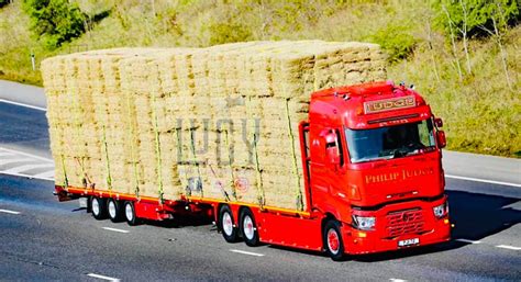 We Require Hay And Straw In Philip Judge International