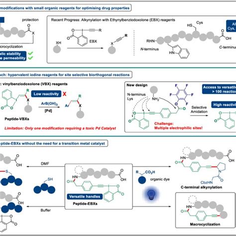 Peptide Modifications Enabled By Hypervalent Iodine Reagents Hirs A