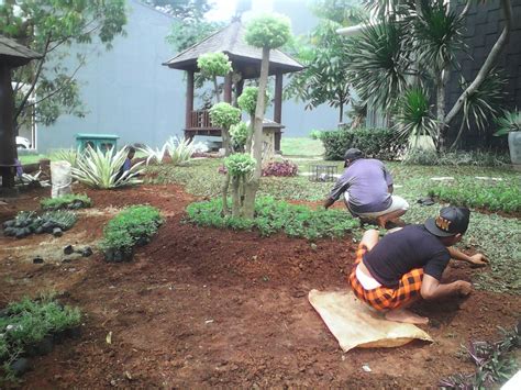 Jasa Perawatan Halaman Taman Rumah Dan Kantor Pangkas Rumput Dan