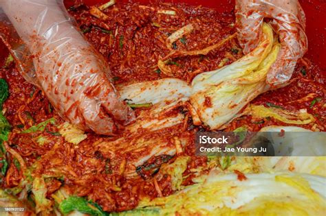 한국 전통 음식인 김치를 만드는 과정 소금에 절인 양배추에 다양한 양념을 넣어 양배추김치를 만드는 여성의 손 클로즈업 건강한 생활방식에 대한 스톡 사진 및 기타 이미지