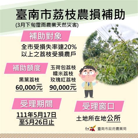 南市荔枝雨害災損公告救助 即日起至26日受理申請 Beanfun
