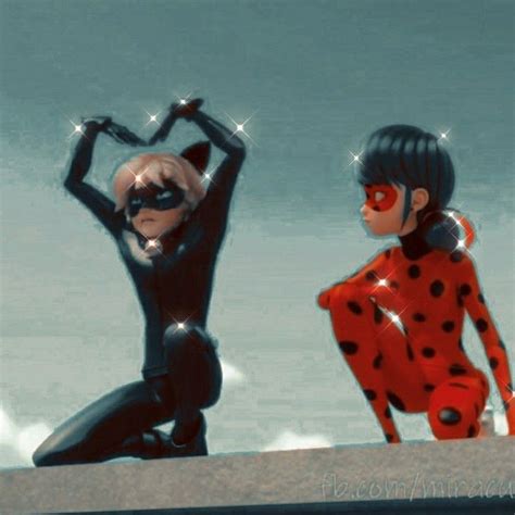 Ladynoir Miraculous Matching Icons Artofit