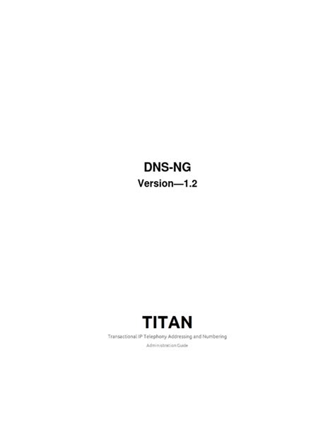 dns ng pdf port computer networking domain name system