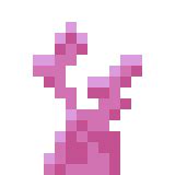 Coral Minecraft Wiki