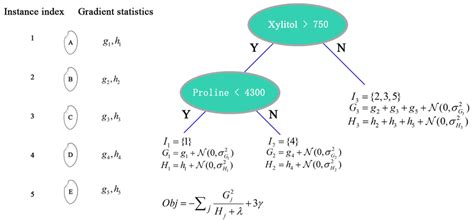 The Schematic Diagram Of Dp Xgboost Model We Inject Gaussian Noise Download Scientific Diagram