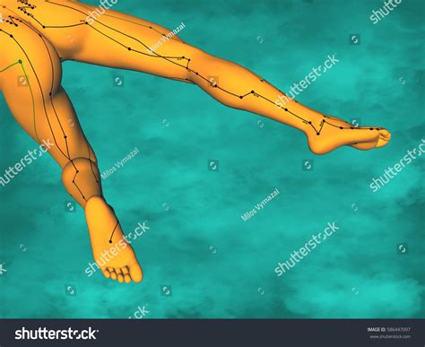 Acupuncture Model 3d Illustration Stock Illustration 586447097