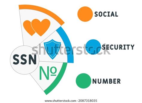 Ssn Social Security Number Acronym Business Stock Vector Royalty Free