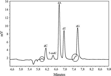 Electropherogram Of Genomic Dna Of Expanded Leaves Extracted Using The Download Scientific