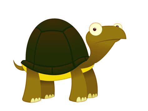 Tortise By Alphabetbrainzy On Deviantart