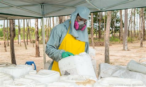 SUSTENTABILIDADE PMBV Disponibiliza Pontos Para Recolhimento De