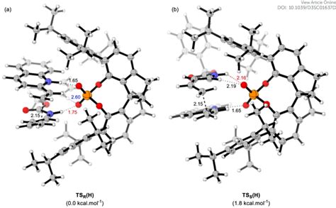 optimized transition state structures for the endo addition relative