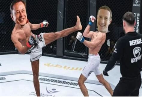 Governo da Itália confirma luta entre Elon Musk e Mark Zuckerberg Banda B