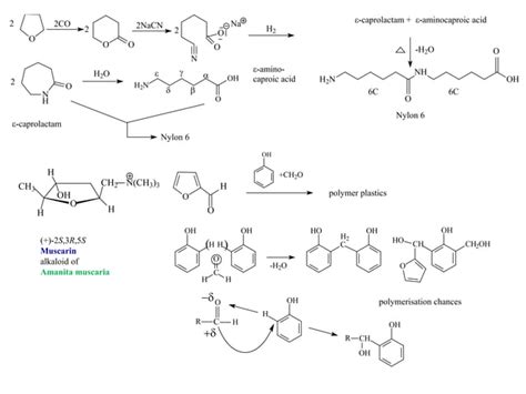 Five And Six Membered Heterocycles Pptpdf