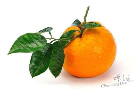 Dao 54106 台灣水果 水果 橘子 椪柑 虎頭柑 Still Life Photography Life Photography