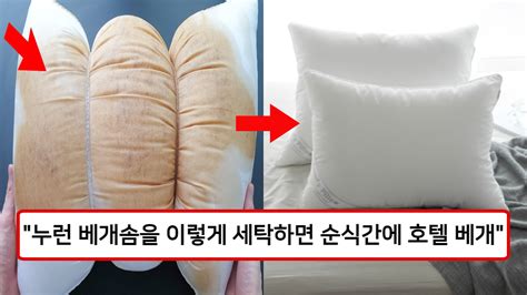 망고뉴스