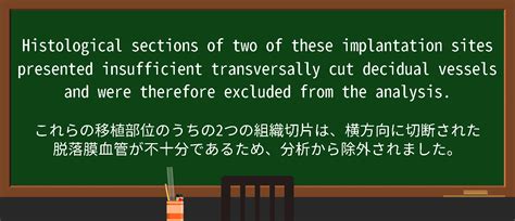 【英単語】histological Sectionsを徹底解説！意味、使い方、例文、読み方