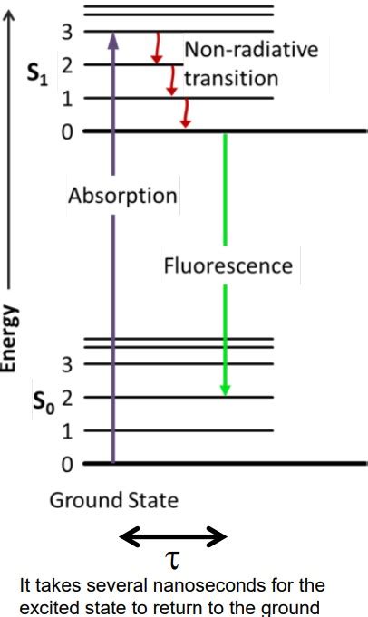 62 Frap Flip Fret And Flim Bs2010 Bioimaging