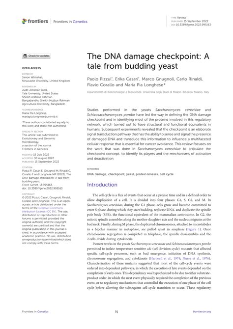 Pdf The Dna Damage Checkpoint A Tale From Budding Yeast