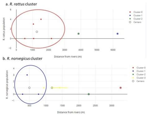 K Means Clustering And Centroid Positions Of A R Rattus Top And B Download Scientific
