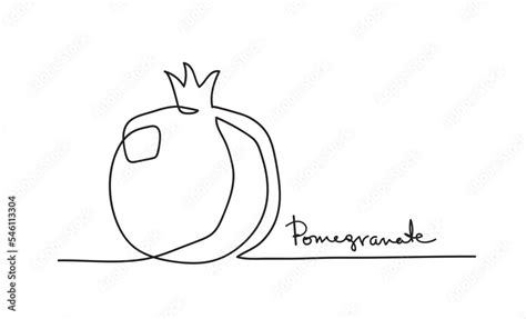 Pomegranate Modern Single Line Art Drawing Outline Draw Design Vector