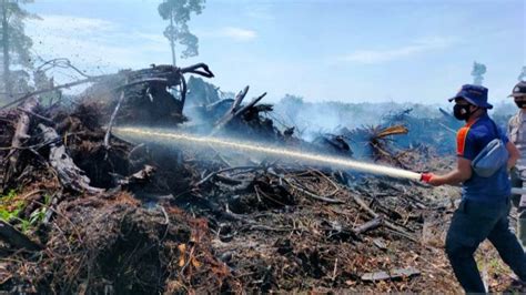 Kebakaran Landa Dua Hektare Lahan Gambut Di Nagan Raya