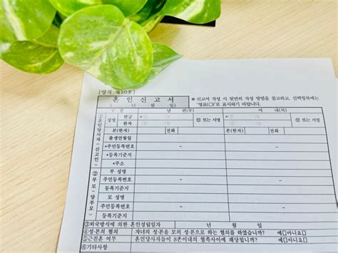 혼자 혼인신고 증인 서명 준비물 하는법 장소 혼인신고서 양식 네이버 블로그