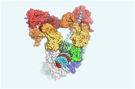 Sistema De Replicação Do Sars Cov 2 é Representado Em 3d Pela Primeira