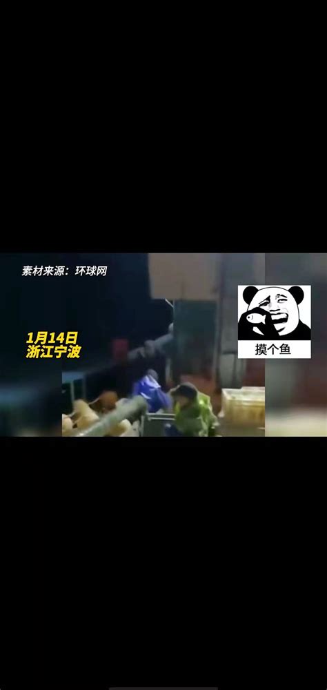 957万元天价成交！宁波渔民一网捞起2450多公斤。 搜狐大视野 搜狐新闻